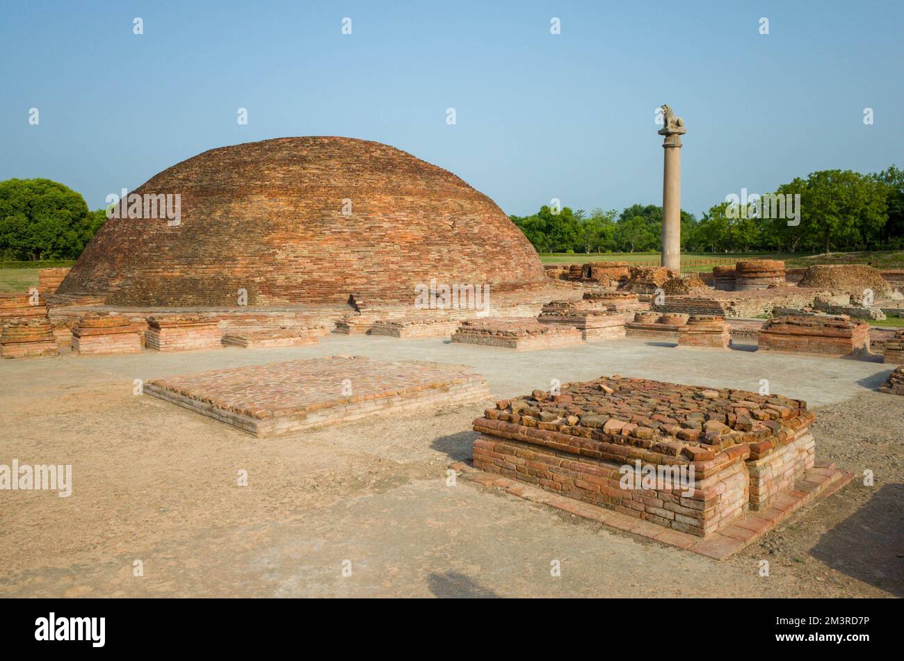 Ashokan Lion Pillar and Stupa Stock Photo - Alamy