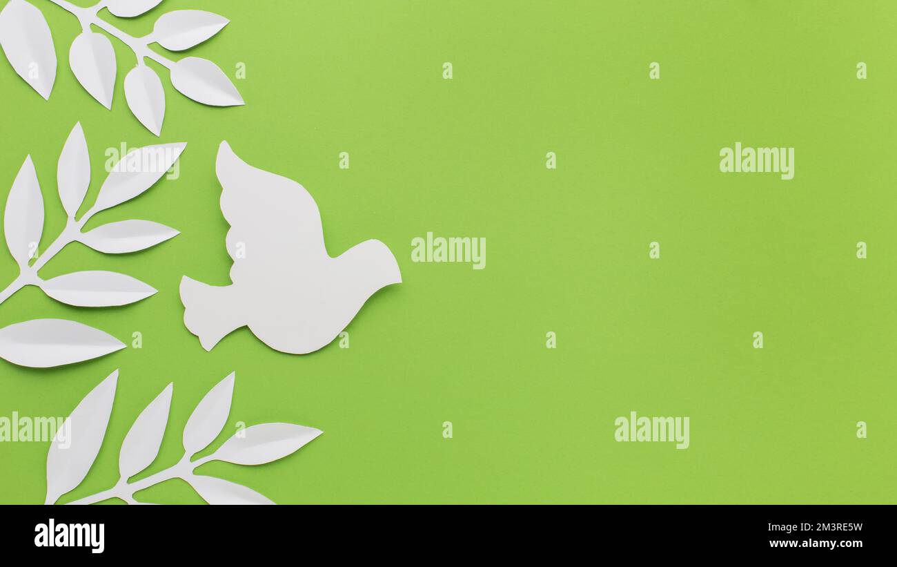Top view paper dove leaves with copy space. Resolution and high quality ...