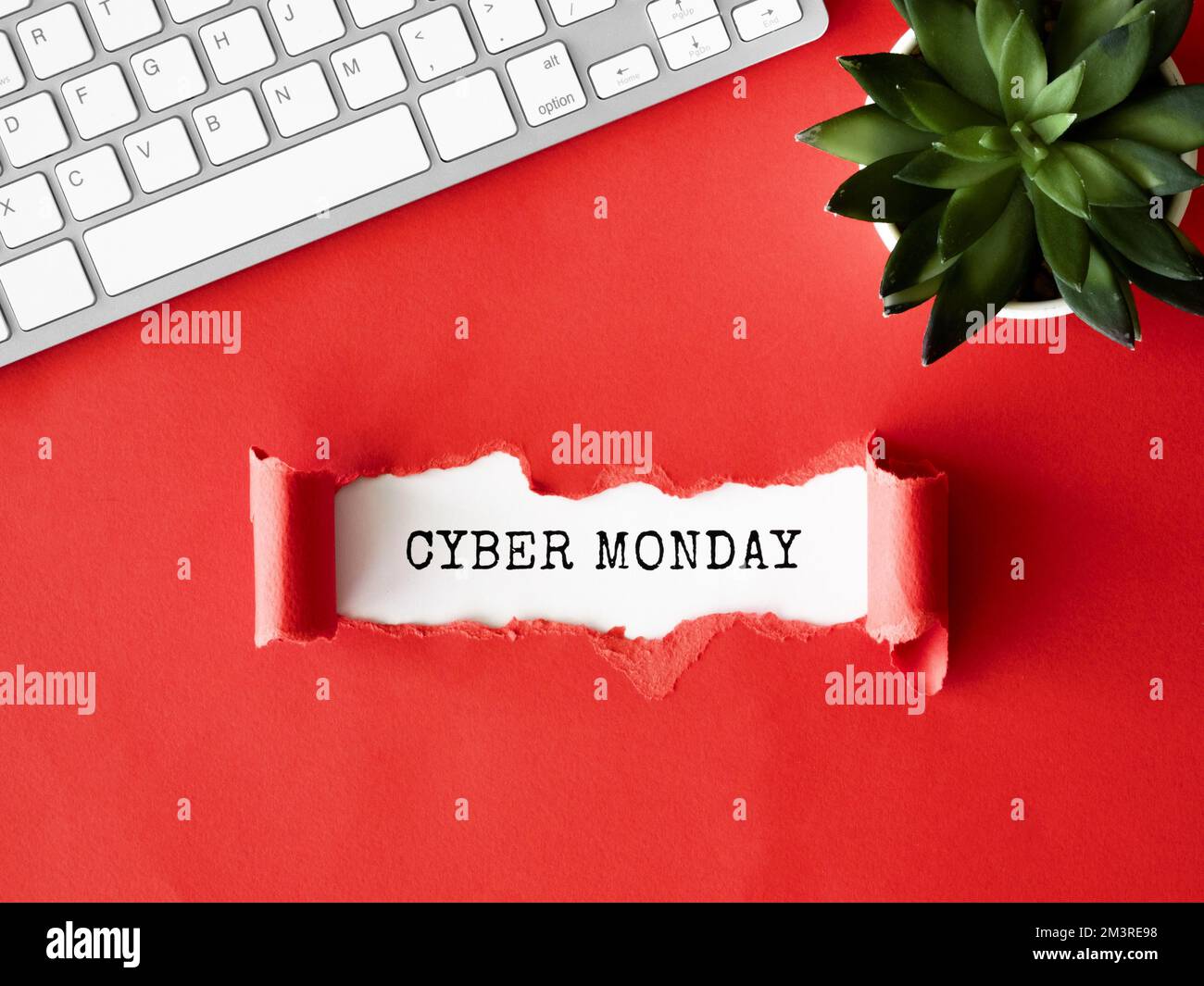 Top view ripped paper with keyboard plant cyber monday. Resolution and ...