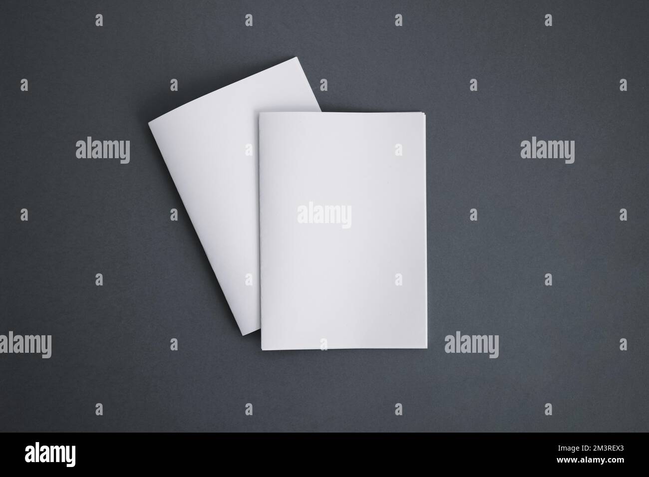 Id book hi-res stock photography and images - Alamy