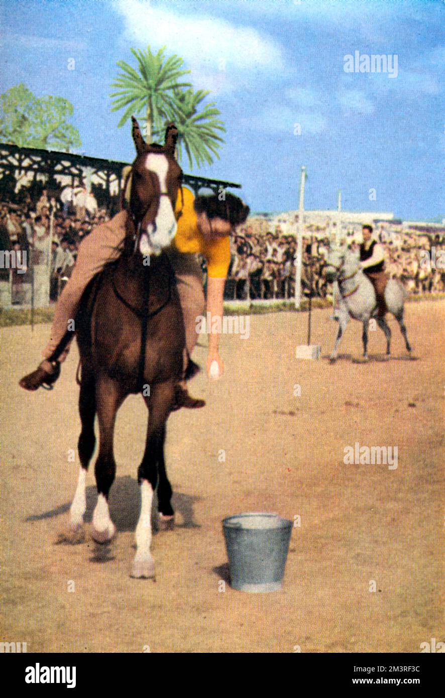 Mrs Ritchie competing at the Marsa Club, Malta Stock Photo - Alamy