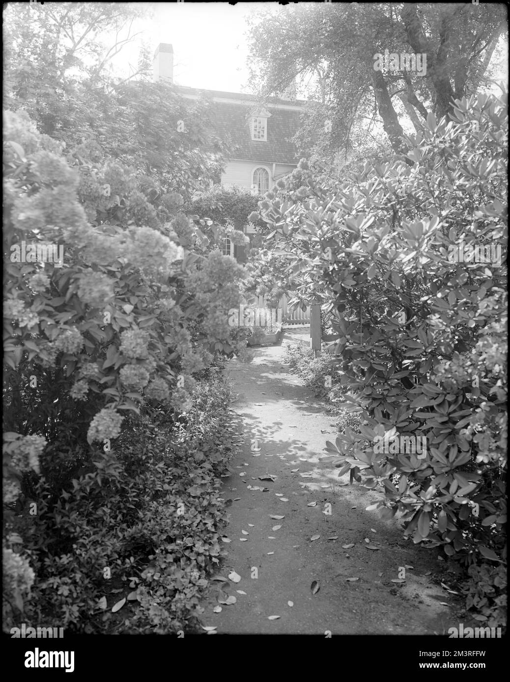 Salem, 314 Essex Street, views, garden, Susan E. Osgood house , Houses ...