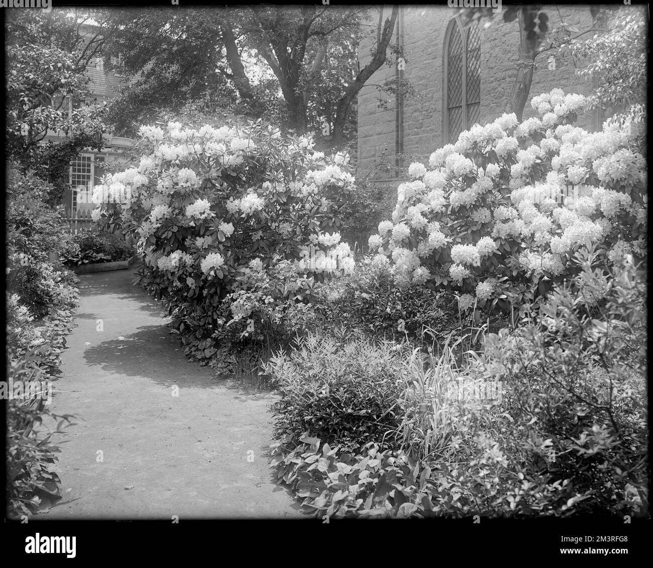 Salem, 314 Essex Street, views, garden, The Honorable Joseph B.F ...