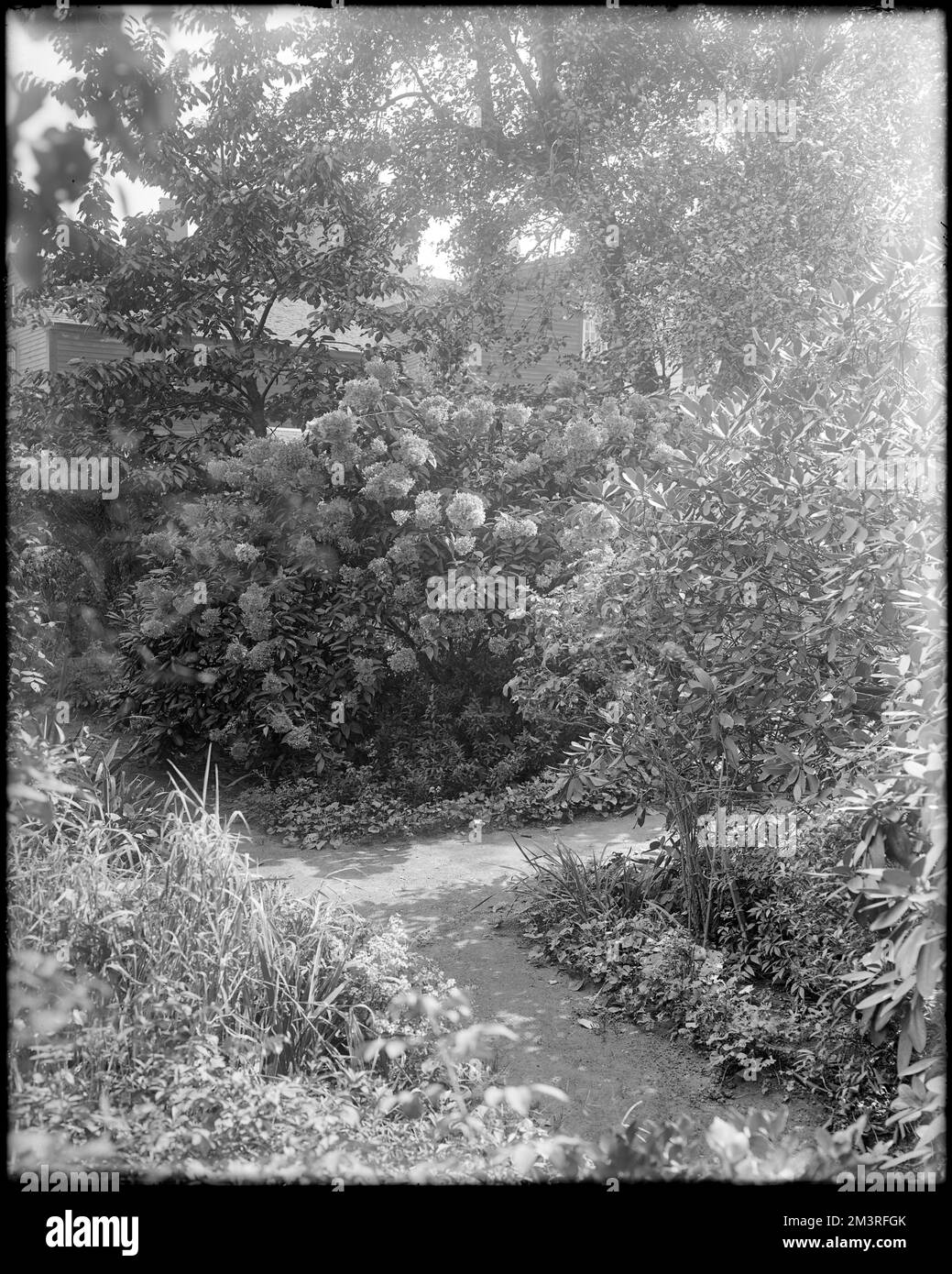 Salem, 314 Essex Street, views, garden, Susan E. Osgood house , Houses ...