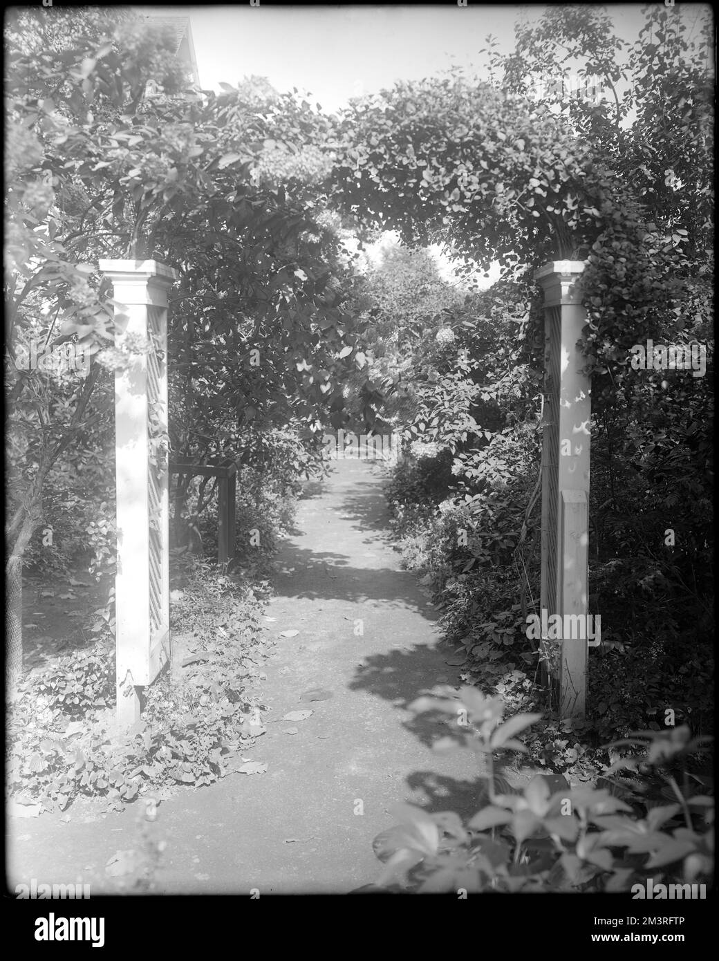 Salem, 314 Essex Street, views, garden, Susan E. Osgood house , Houses ...