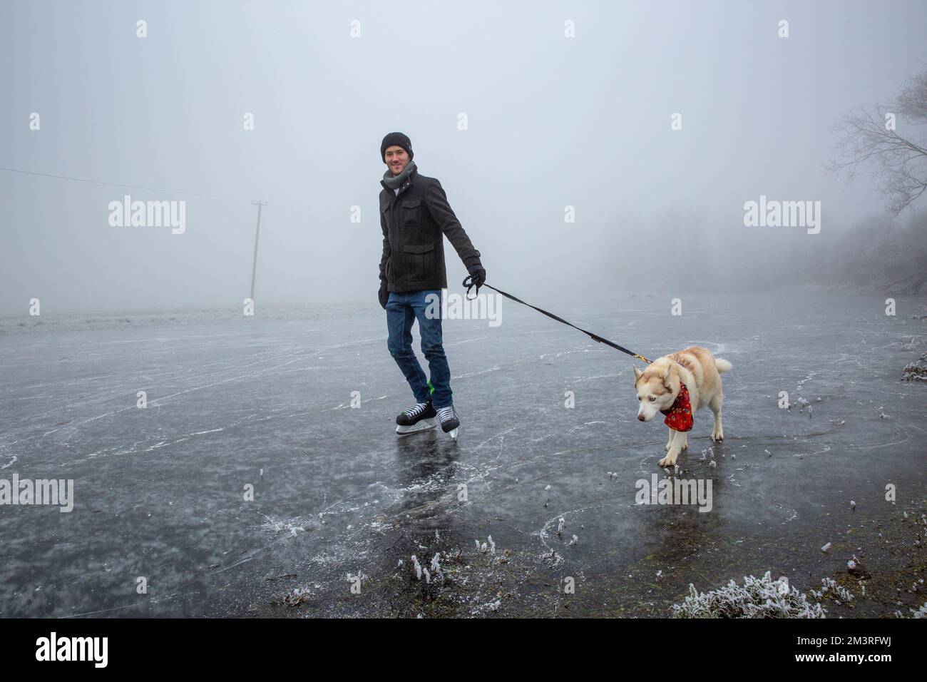 Picture dated December 11th shows Josh Burke waking his Husky called ...