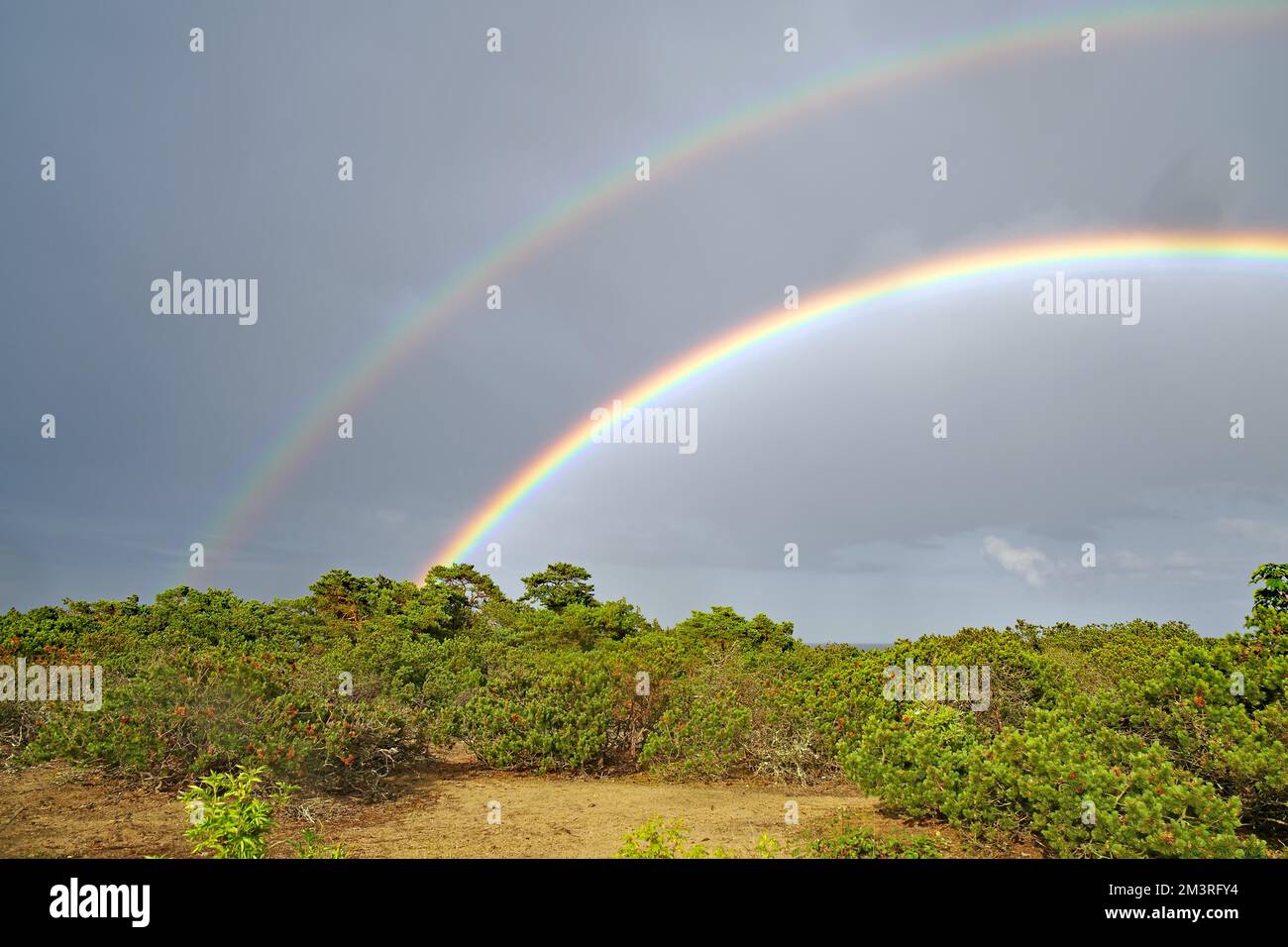 Double rainbow over hedges, Baltic Sea, Simrishamm, Skane laen, Skane ...