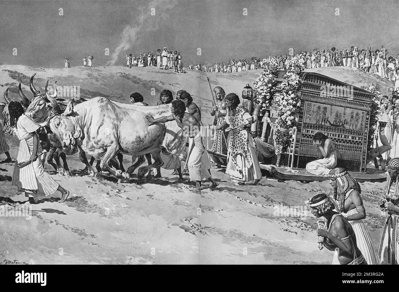 Body reconstruction Black and White Stock Photos & Images - Alamy