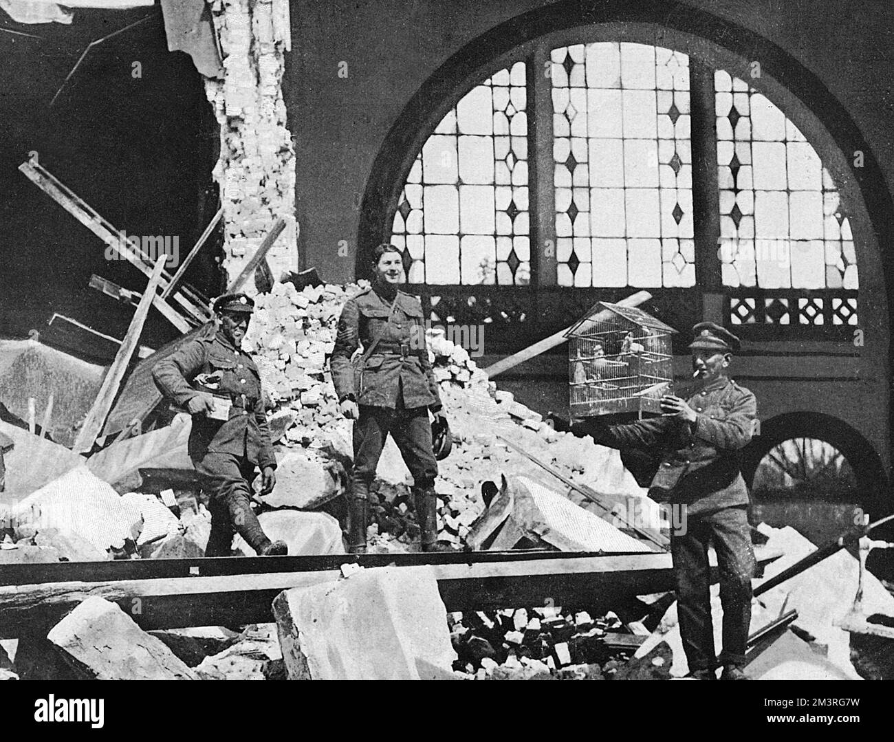 House of the great cage hi-res stock photography and images - Alamy