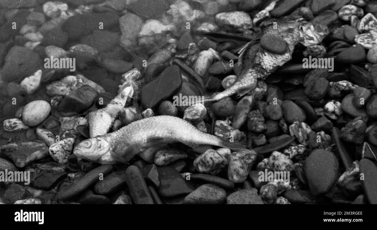 Population change Black and White Stock Photos & Images - Alamy