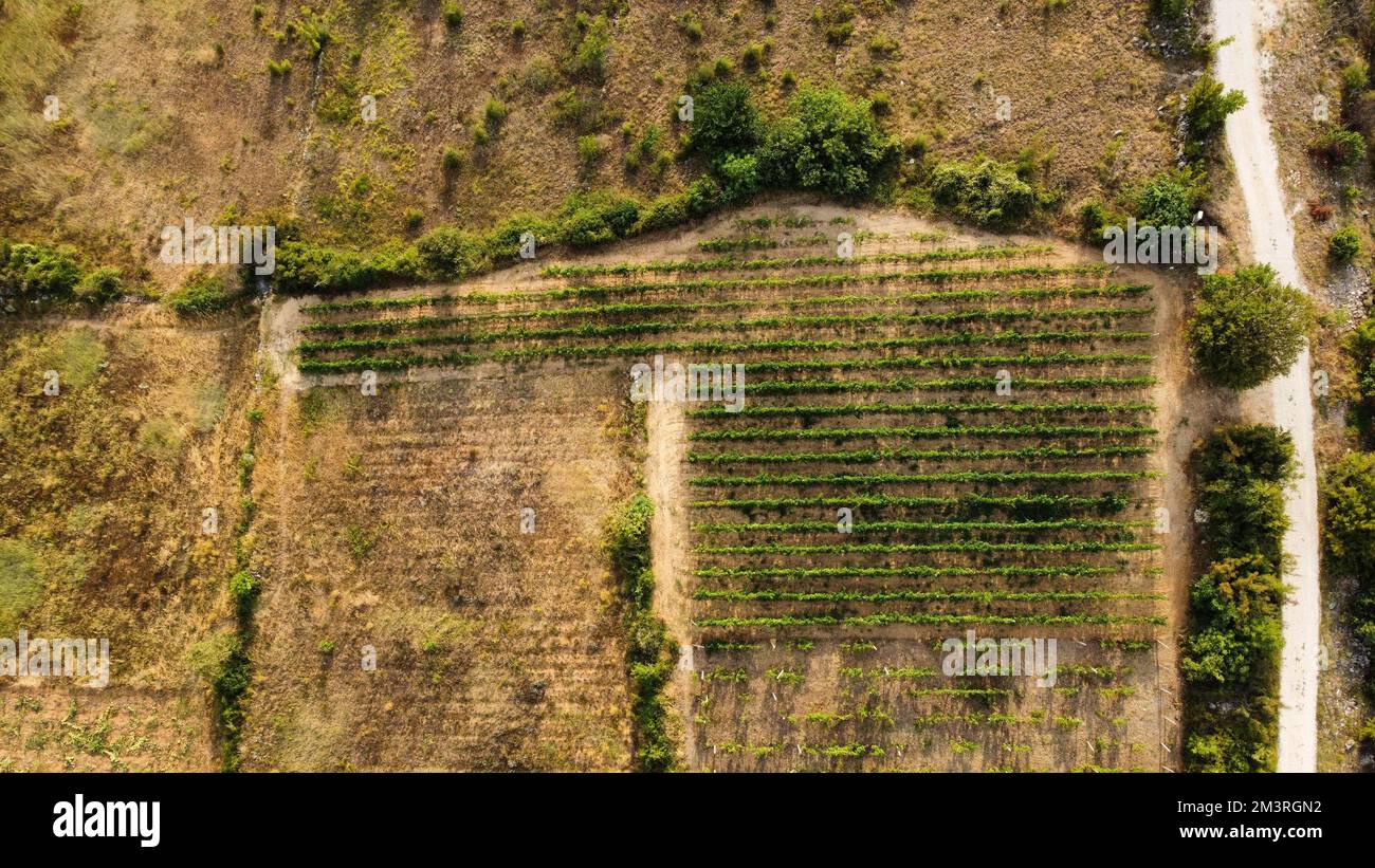 An aerial view of an agricultural plantation at daytime Stock Photo - Alamy