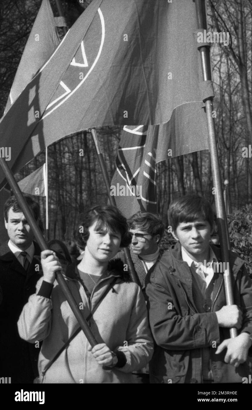 Good Friday 1945 the forest in Rombergpark was a place of crime. The ...