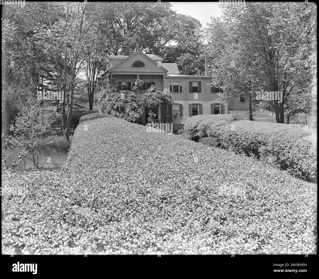Salem, 40 Dearborn Street, views, buckthorn hedge, John Bertram garden ...