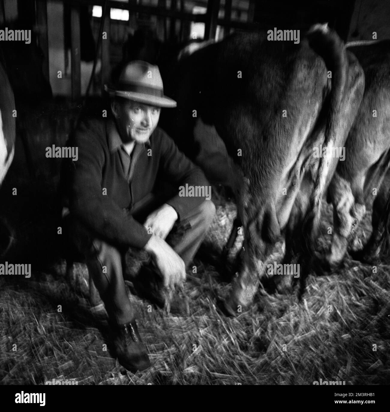 Farmer in Sauerland ca. 1966, Germany Stock Photo - Alamy