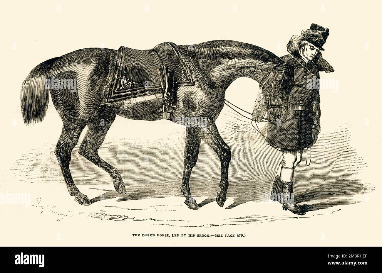 Duke of Wellington's horse and groom Stock Photo - Alamy
