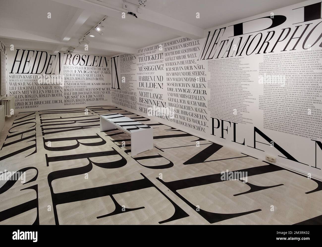 Language explosions, Klassik Stiftung Weimar, visualisation of poems in ...