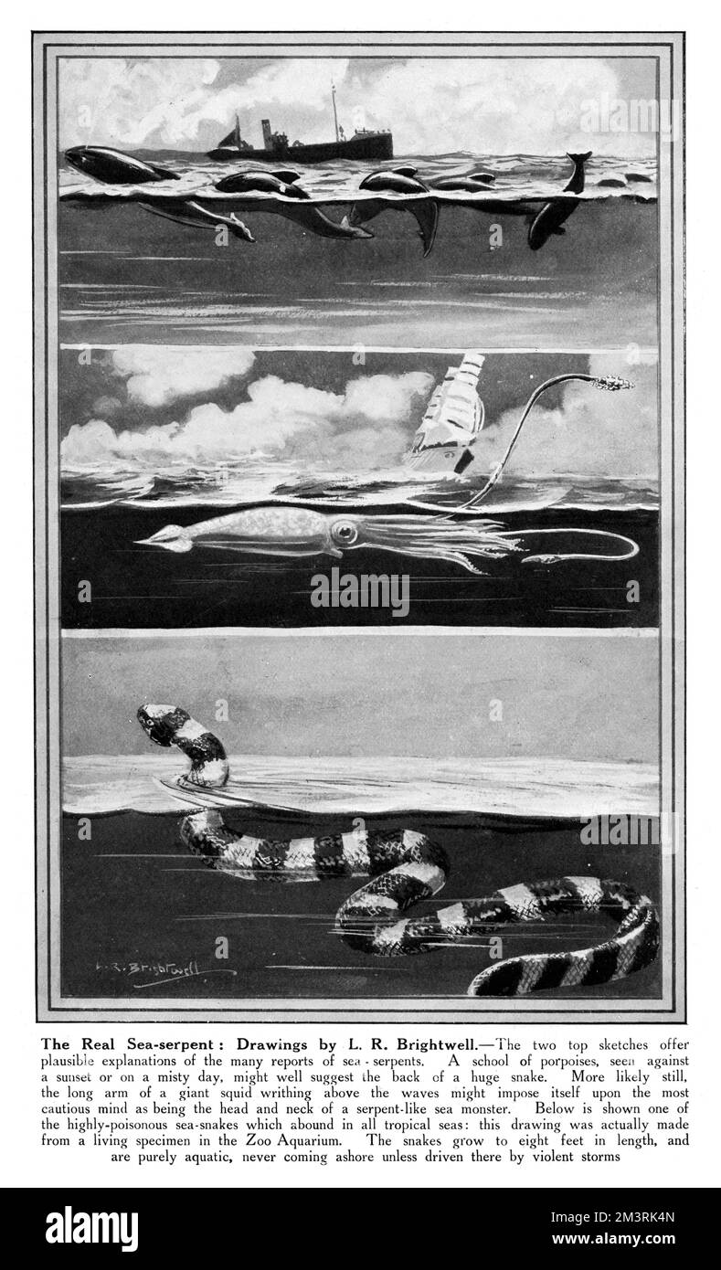 Serpent serpents snake Cut Out Stock Images & Pictures - Alamy