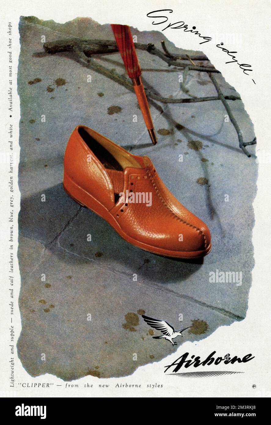 Sensible womens shoes hi-res stock photography and images - Alamy