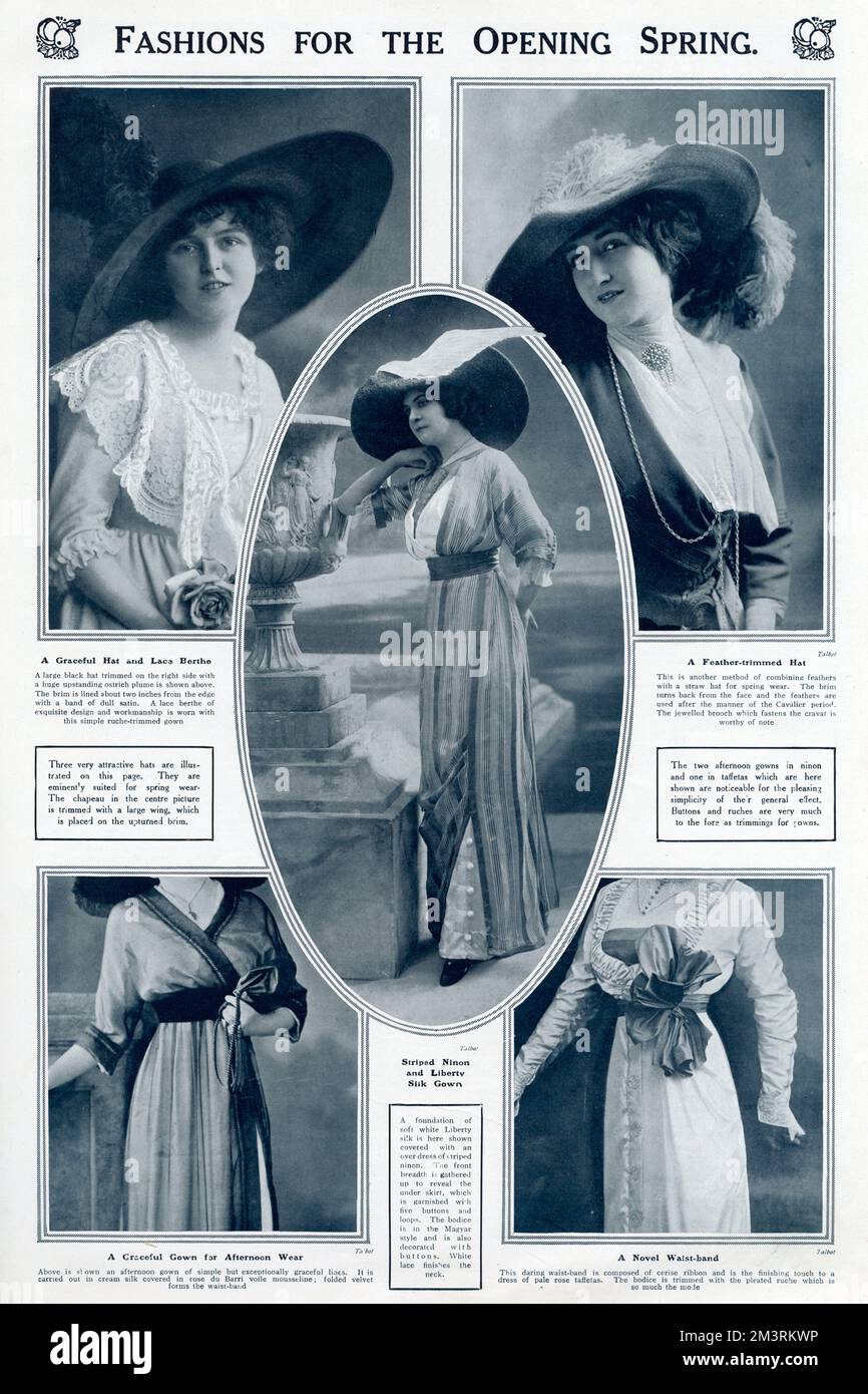 Bird feathers for hats hi-res stock photography and images - Alamy