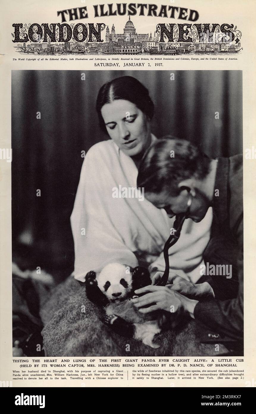 Su lin ruth harkness hi-res stock photography and images - Alamy