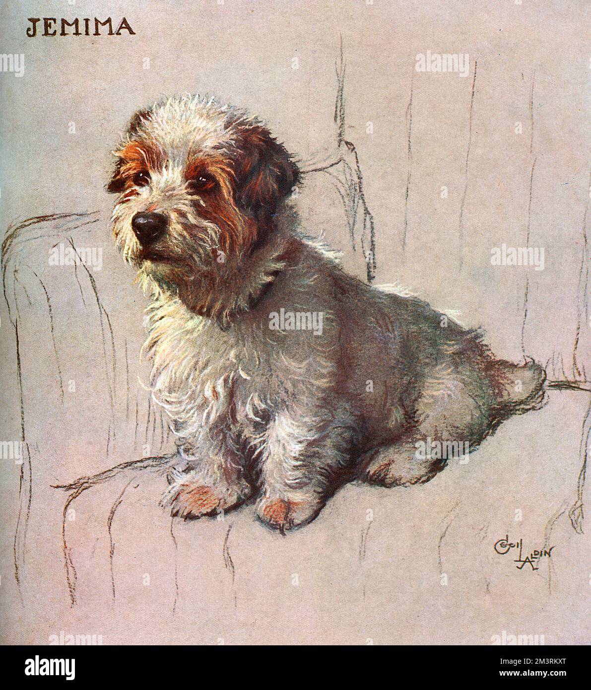 Jemima hi-res stock photography and images - Alamy