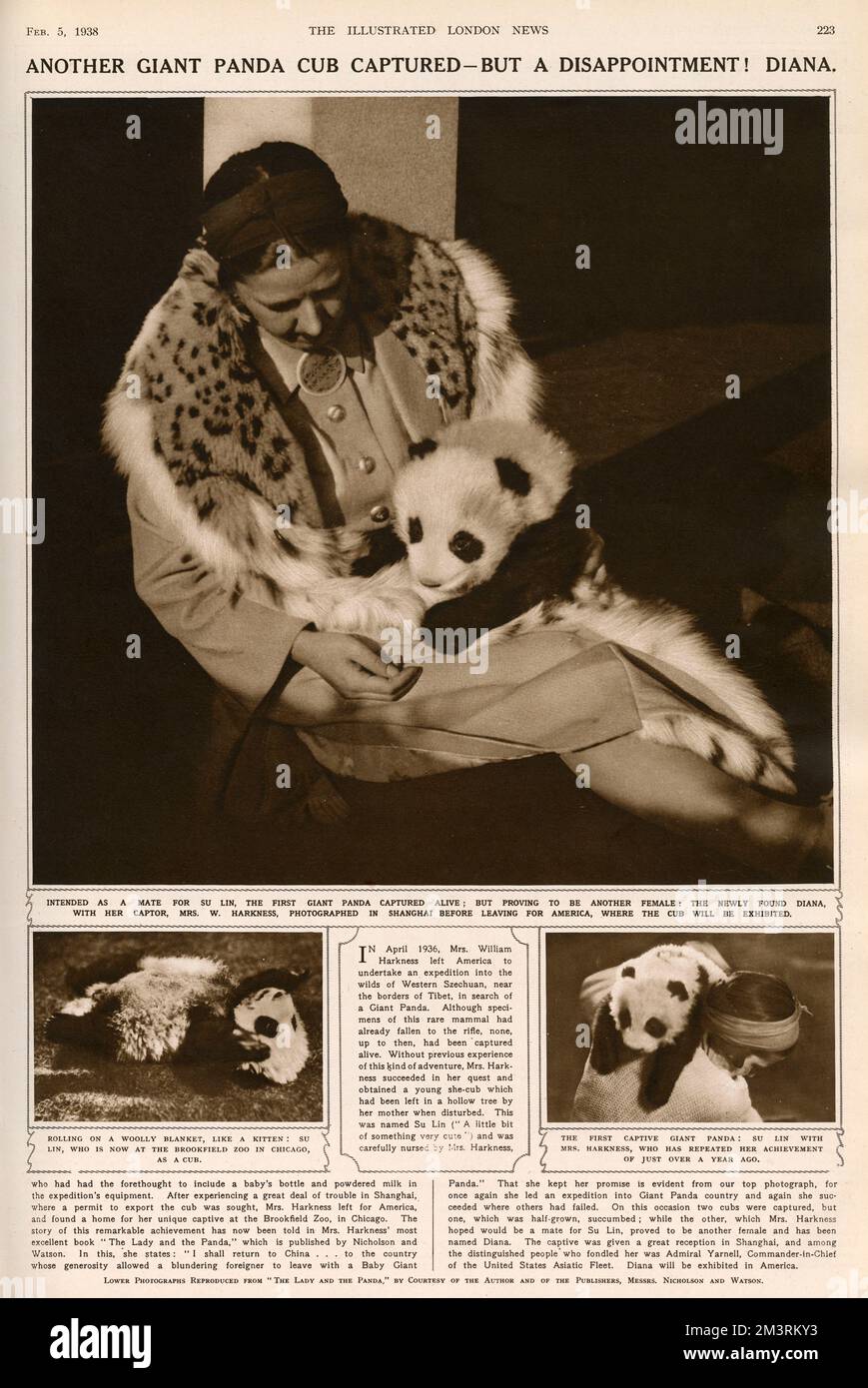 Ruth harkness panda hi-res stock photography and images - Alamy