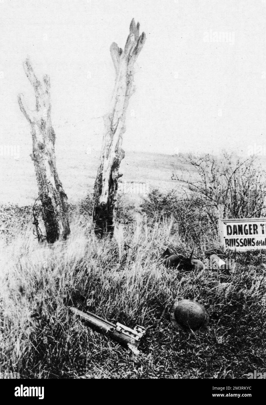 Ww1 tree Black and White Stock Photos & Images - Alamy