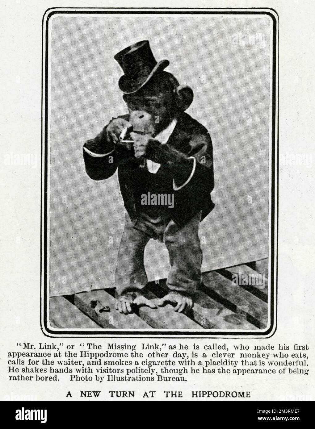 Mr Link, monkey appearing at the Hippodrome 1906 Stock Photo - Alamy