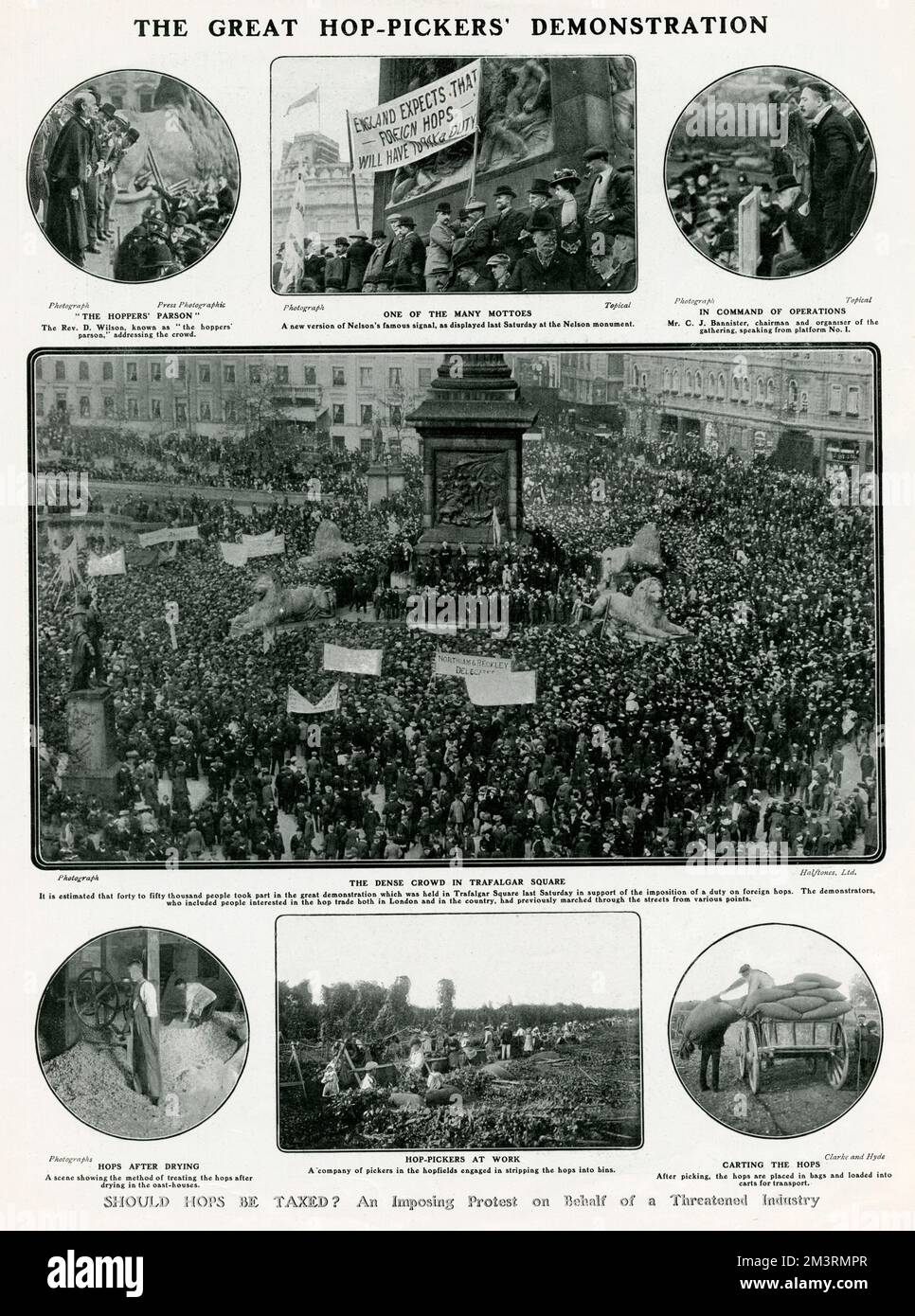 Hop pickers hi-res stock photography and images - Alamy