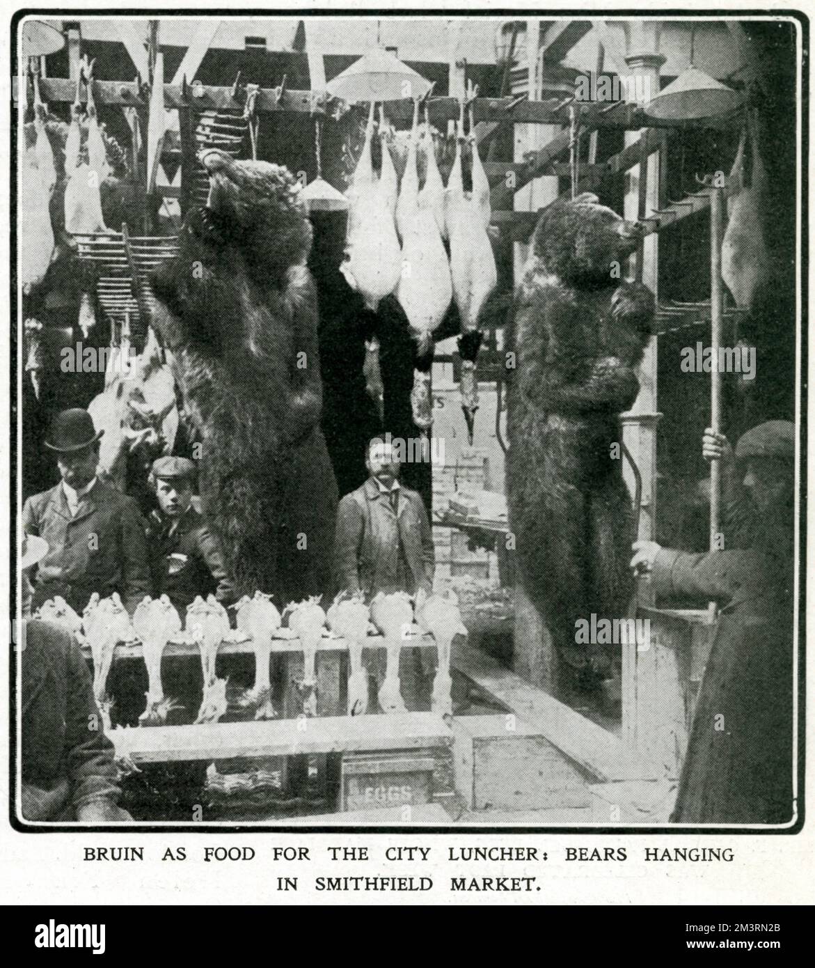 Butchers market historical hanging hi-res stock photography and images ...