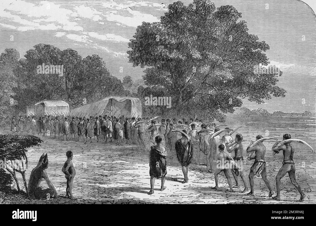Wagons south africa hi-res stock photography and images - Alamy