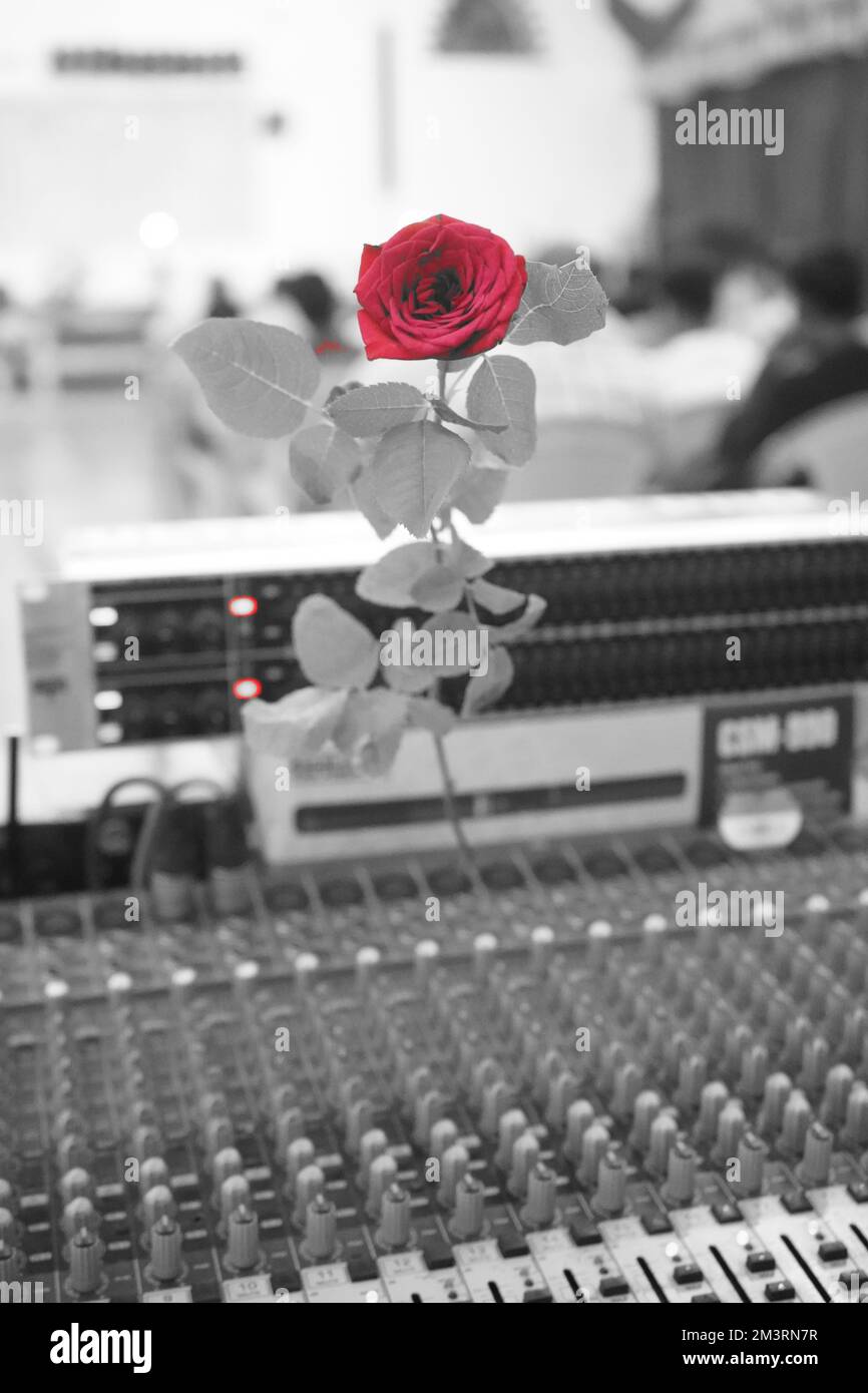 A grayscale shot of a red rose on a sound engineering equalizer Stock ...