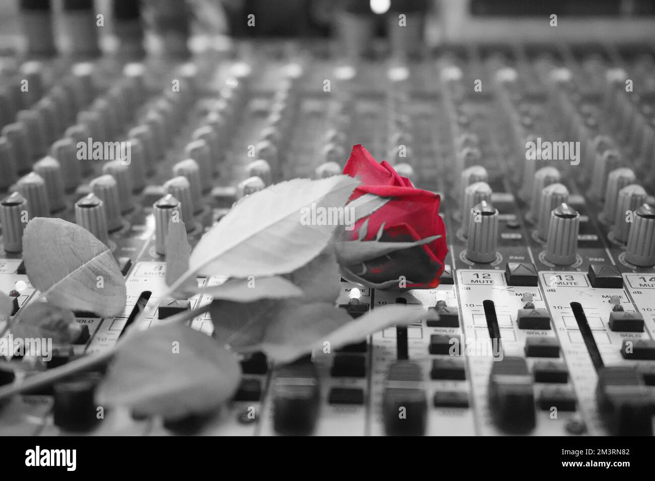 A grayscale shot of a red rose on a sound engineering equalizer Stock ...
