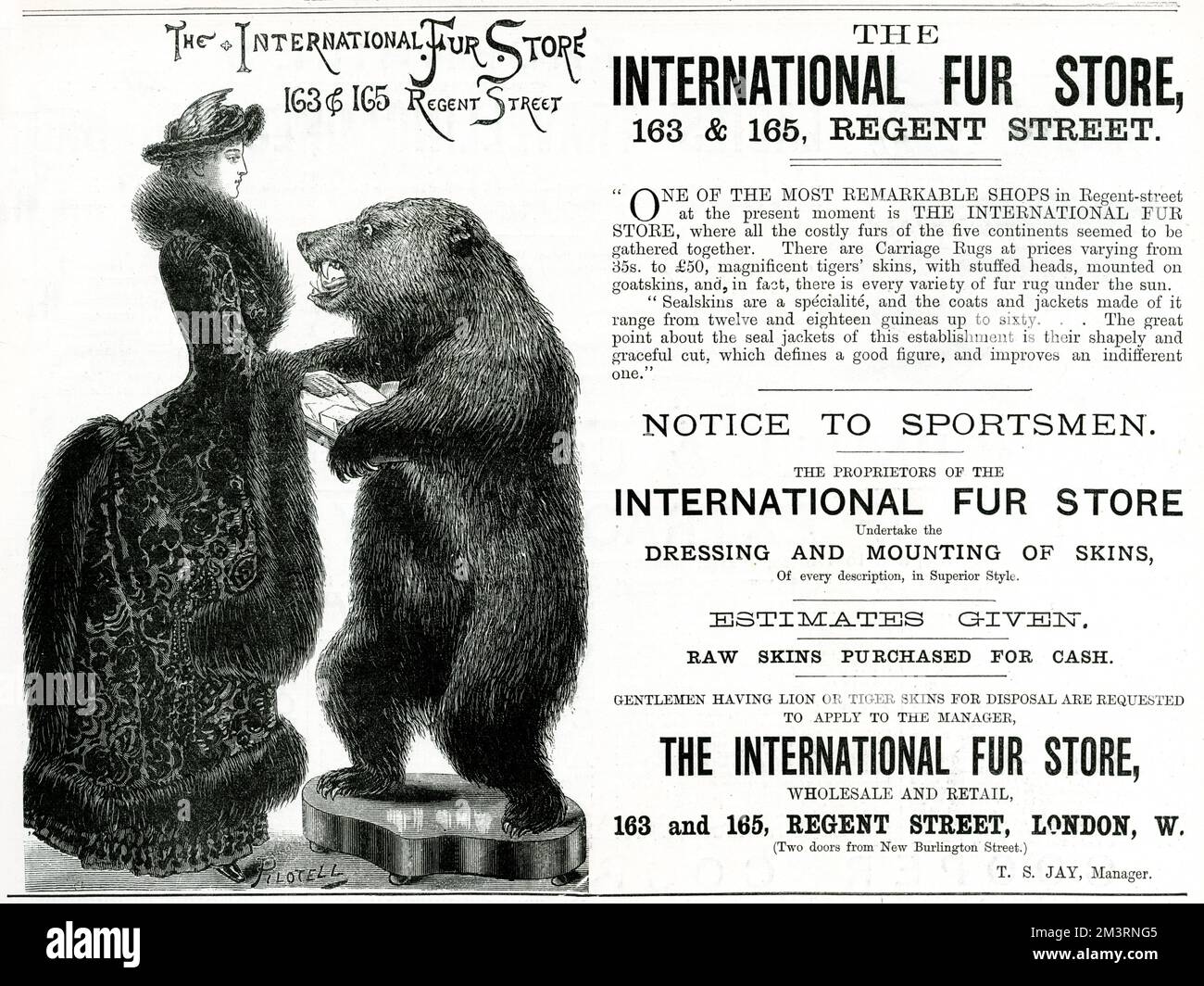 Victorian women wearing full length fur coat covering her bustle. 1882 ...