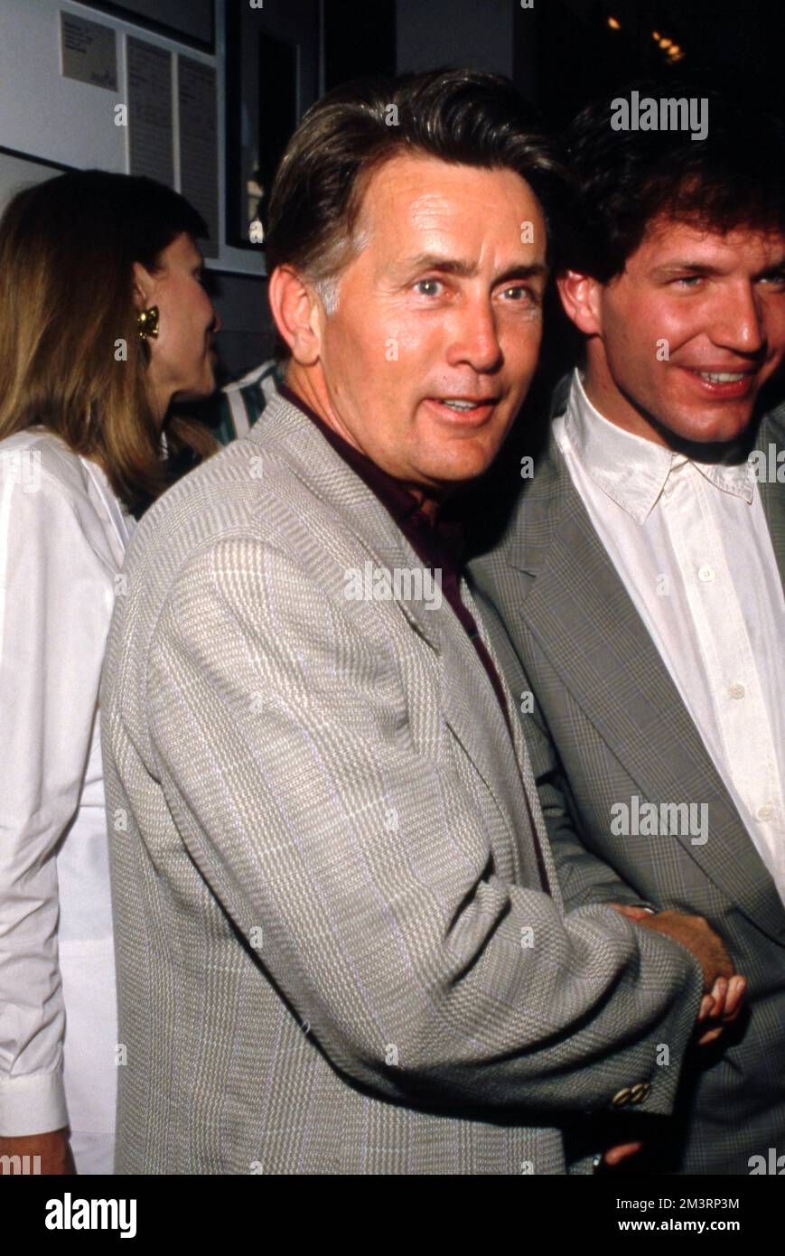 Martin Sheen at the Angel Art Auction to Benefit Project Angel at Ace ...