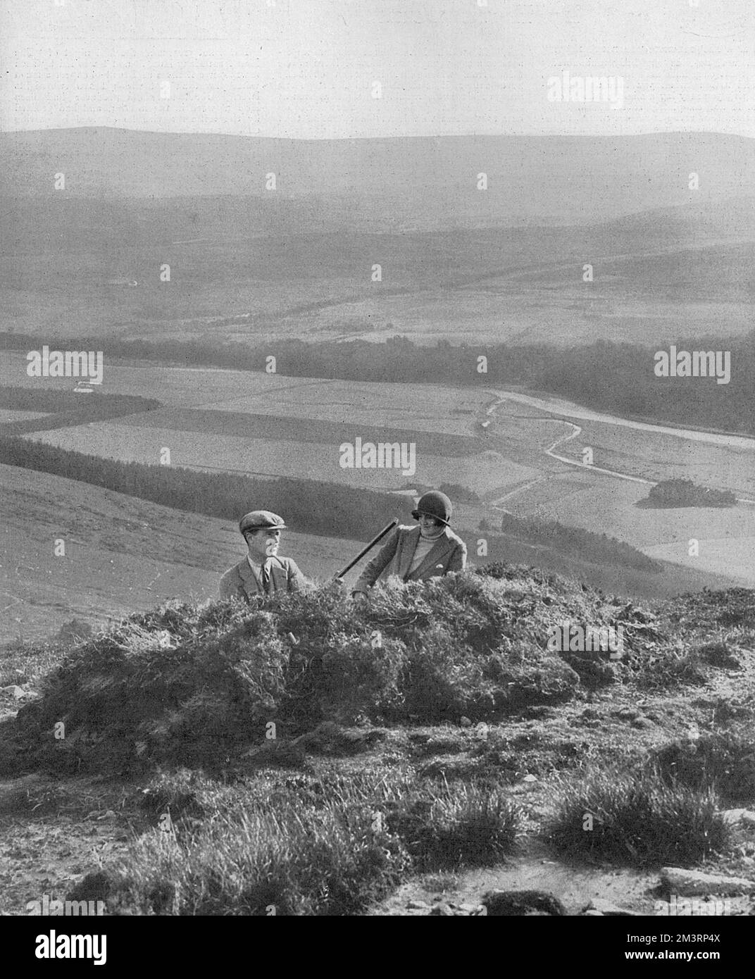 Moors grouse Black and White Stock Photos & Images - Alamy