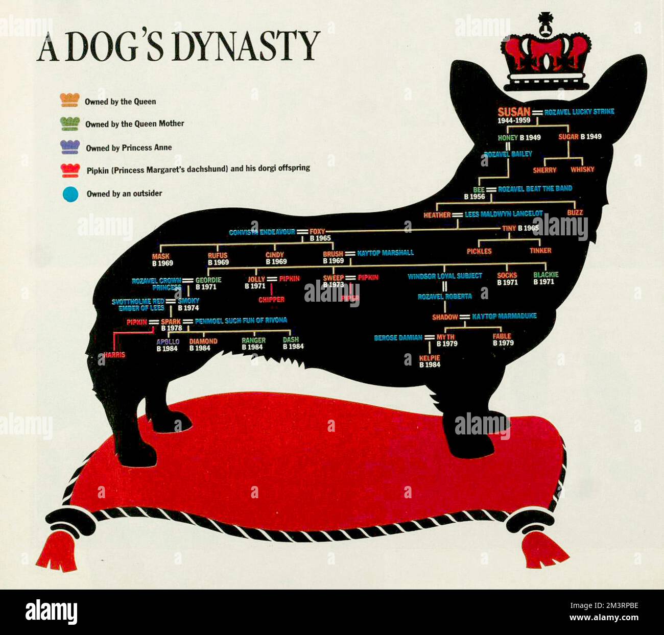 Corgi royal family tree hi-res stock photography and images - Alamy