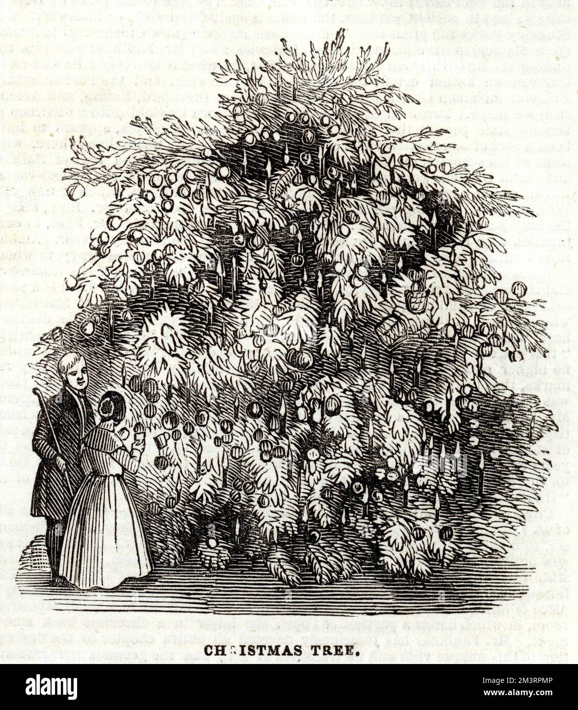 Christmas tree, also described as a Tree of Love, by The Illustrated ...