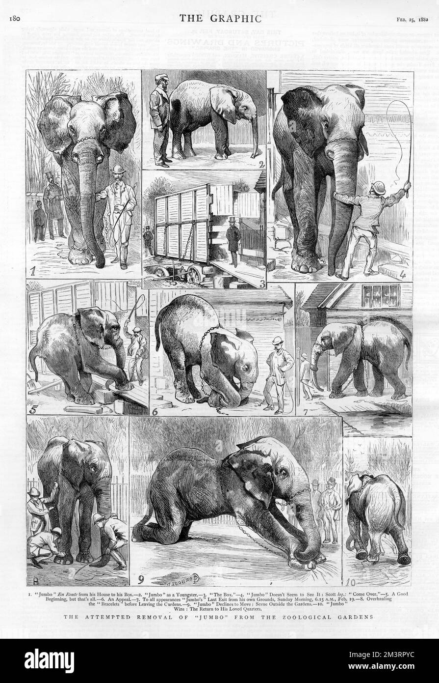 Jumbo the elephant hi-res stock photography and images - Alamy