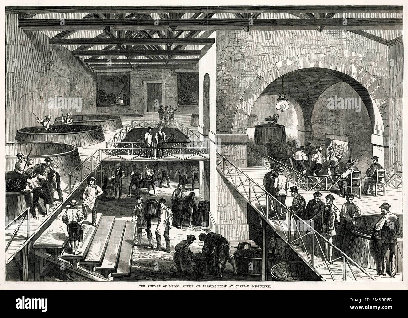 Pressing grapes century hi-res stock photography and images - Alamy