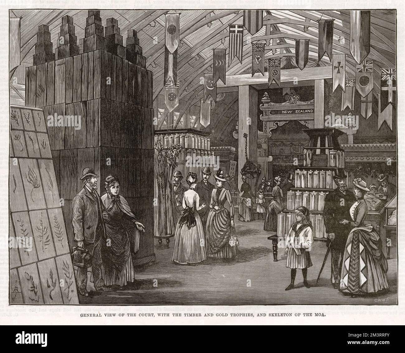 The New Zealand court at the Colonial and Indian Exhibition, 1886, held ...