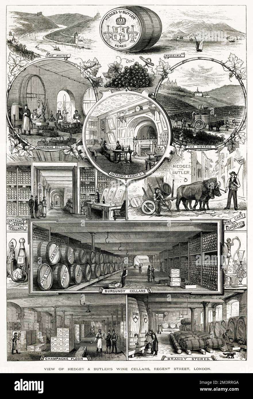 Wine bottling in burgundy hi-res stock photography and images - Alamy