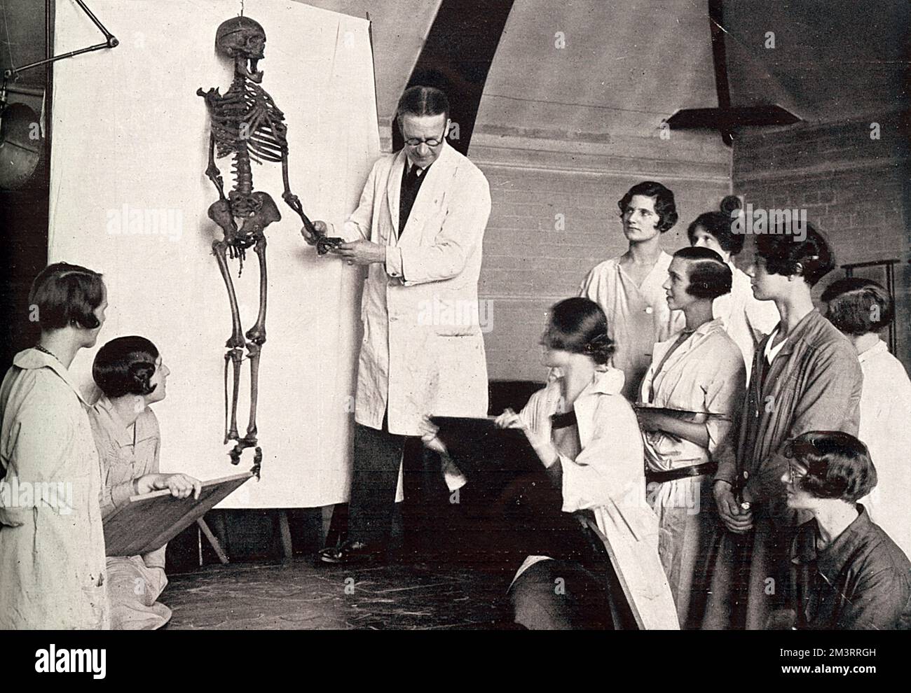 Anatomy class hi-res stock photography and images - Alamy