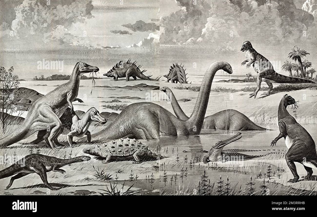 Dinosaurs of the Mesozoic Era - China Stock Photo - Alamy