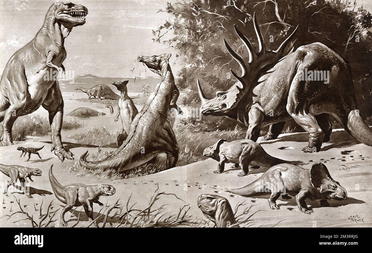 Dinosaurs of the Cretaceous Period - Gobi Desert Stock Photo - Alamy