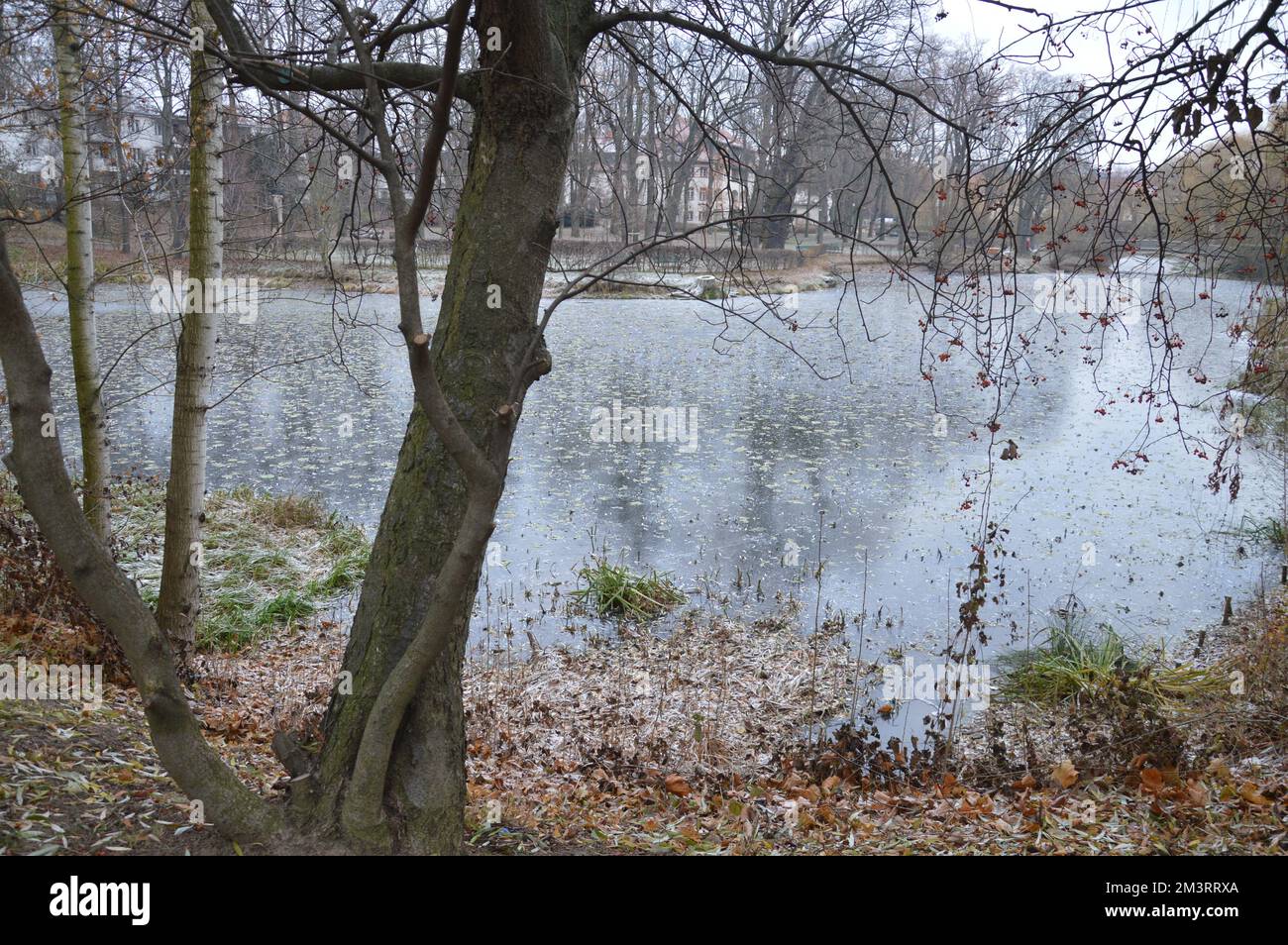 Weather inberlin hi-res stock photography and images - Alamy