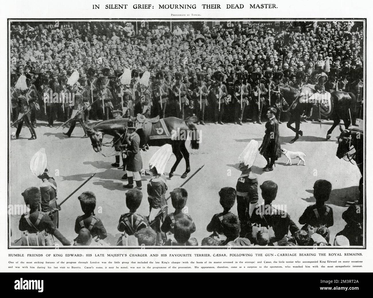 Funeral procession of King Edward VII 1910 Stock Photo - Alamy