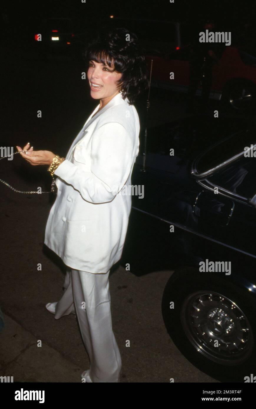 Carole bayer sager hi-res stock photography and images - Alamy