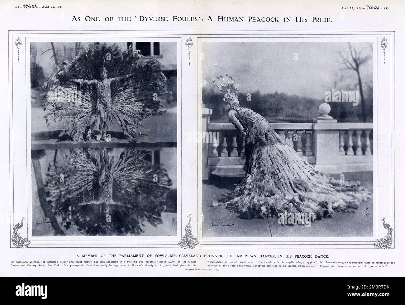 Peacock dance hi-res stock photography and images - Alamy