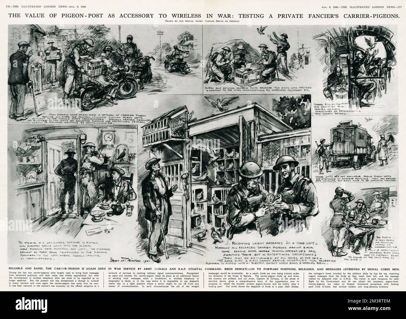 Wwii pigeons hi-res stock photography and images - Alamy